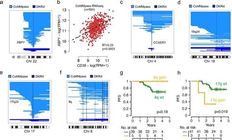 Impact Of Recurrent Copy Number Variants On Pfs A Heatmap Summarizing