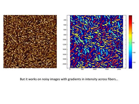 Orientation Algorithm 1 Pptx