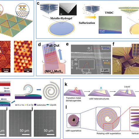 Self‐assembly Technologies A Schematic Illustration Of 1t‐1h Ptse2