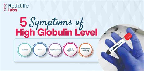 Symptoms Of High Globulin Levels