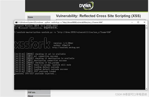 Xss 检测神器:xssfork 保姆级教程 Csdn博客 Xss 检测神器:xssfork 保姆级教程 Csdn博客