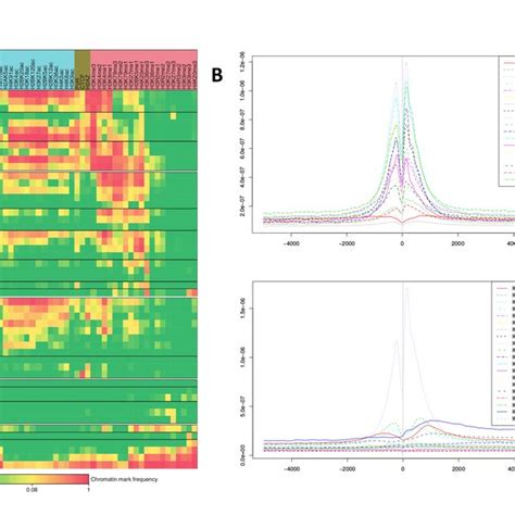 The Histone Code At The Level Of Genomic Features A The Combinations Download Scientific