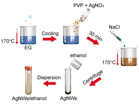 Schematic Of The Synthesis Procedure Of Agnws Agnw Silver Nanowire Download Scientific Diagram
