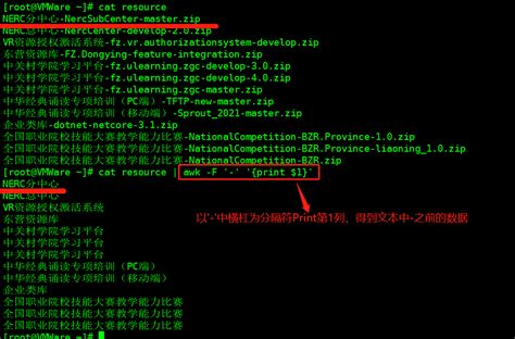 Awk F ，以中横杠为分隔符 Csdn博客