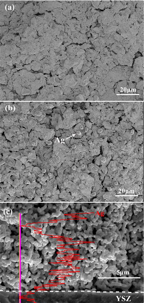 A Scanning Electron Micrograph Sem Of The Bscf Sdc Oxygen Download Scientific Diagram