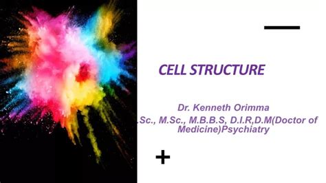Ppt Cell Structure Powerpoint Presentation Free Download Id 13478517