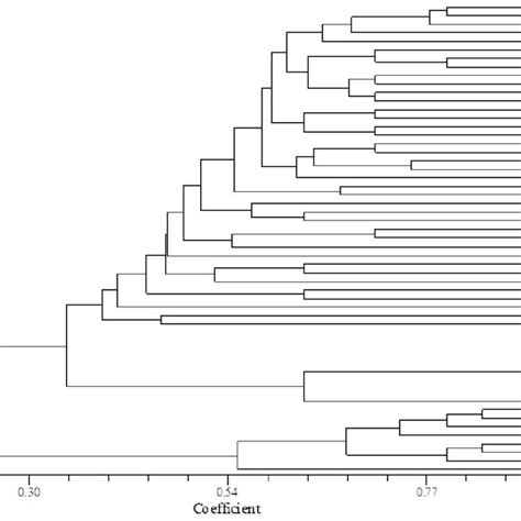 Dendrogram Of 58 Prunus Accessions Based On Upgma Analysis Using The