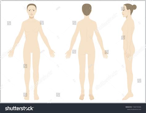 Woman Whole Body Naked Stock Vector Royalty Free Shutterstock
