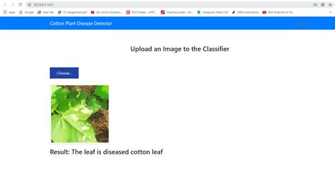 Github Kashinbrijkhajuriacottonplantdiseasedetectionusing