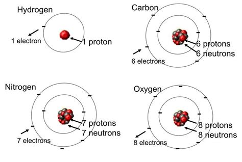 Basic Cell Biology Atom Diagram Atom Model Project Electron