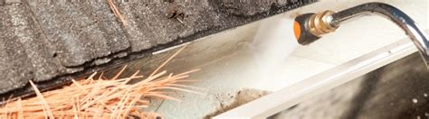 How To Clean Gutters Without A Ladder