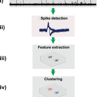 PDF Past Present And Future Of Spike Sorting Techniques