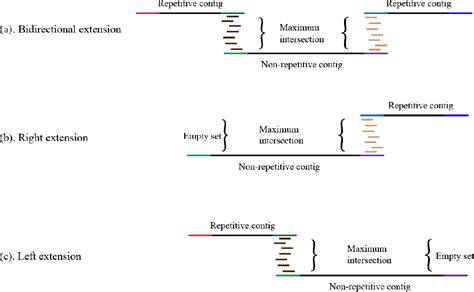 Figure 4 From A Genome Scaffold Algorithm For Extending Repetitive And