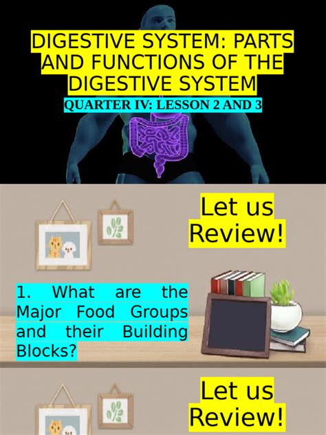 Lesson 2 And 3 Digestive System Parts And Fuction Pdf Human Digestive System