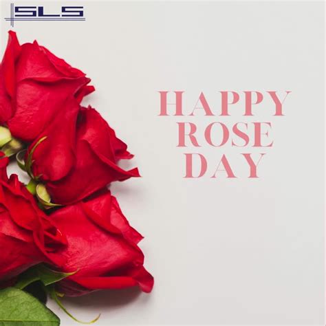 sls designs india on linkedin roseday workspacebeauty spreadlove