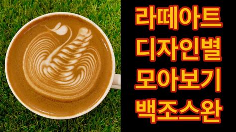라떼아트 백조 영상 모음 로제타스완 로제타 Korean Barista Latteartist Woodentamper Youtube