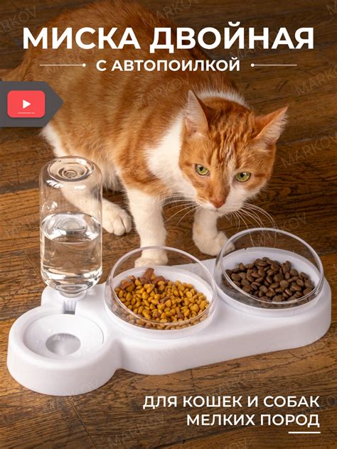 Миски для кошек купить по низкой цене на Яндекс Маркете