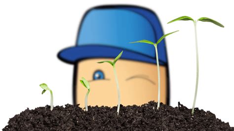 Continuous Improvement Implementing CI In Manufacturing