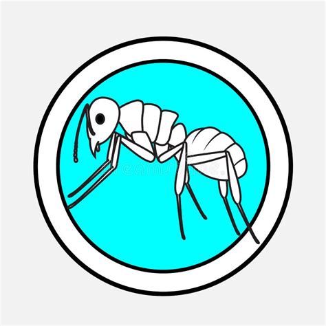 Army Ant Stock Illustrations 221 Army Ant Stock Illustrations