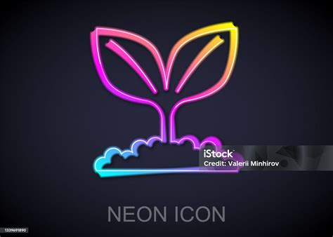 검은 색 배경에 고립 된 빛나는 네온 라인 식물 아이콘 종묘와 묘목 나뭇잎 기호 잎 자연 벡터 0명에 대한 스톡 벡터 아트 및 기타 이미지 Istock