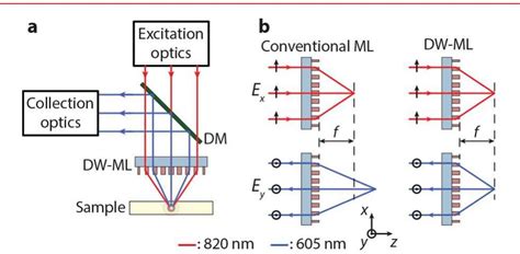 A Simplified Schematic Of A Two Photon Microscope Employing