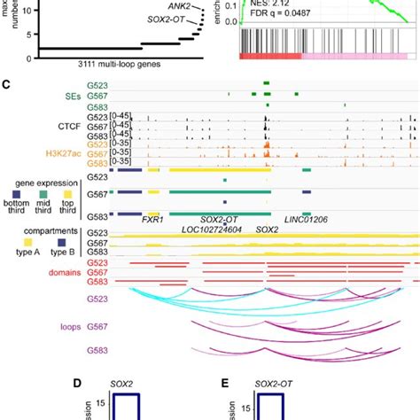 interplay of 3d genome organization and chromatin features in