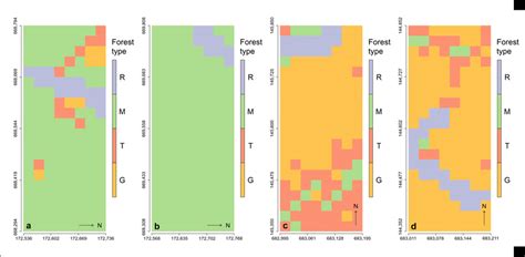 Forest Cover Classification At Census 3 In Field Sites Edoro1 A Download Scientific Diagram