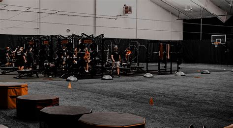 Variable Training Elevating Performance With Instinctual Play