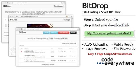 bitdrop file hosting with short url link premium scripts plugins