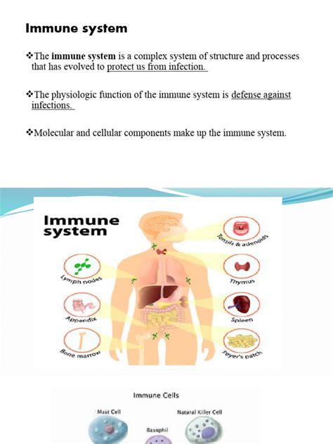 Lect 6 Immunological Techniques Download Free Pdf Antibody