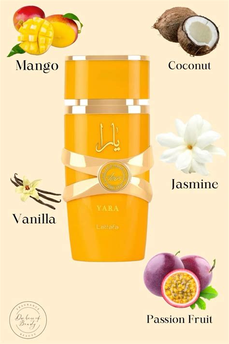 Lattafa Yara Tous Captivating Fragrance With Notes Of Mango And Coconut