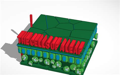 3d Design Cells Of A Leaf Tinkercad