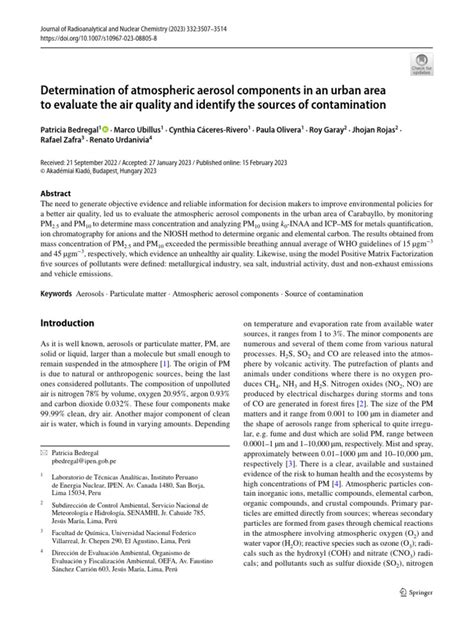 Determination Of Atmospheric Aerosol Components In An Urban Area To