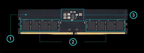 aorus memory ddr5 32gb 2x16gb 5200mhz｜aorus gigabyte australia