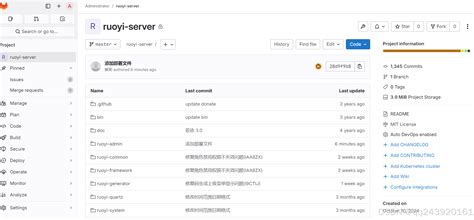 jenkins整合docker实现cicd自动化部署（若依项目） jenkins docker cicd csdn博客