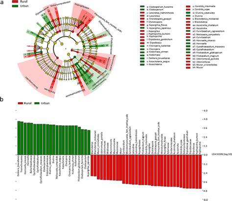 The Results Of Linear Discriminant Analysis Lda Effect Size Lefse