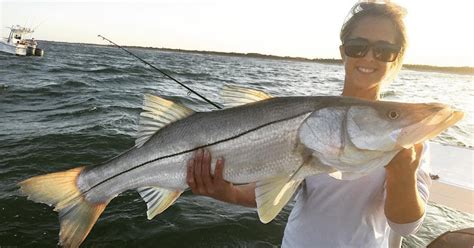 5 Snook Fishing Blogs That Will Make You A Better Snook Angler