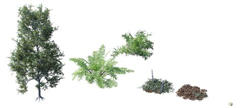 Randomising Procedural Objects With Forest Pack 3d Architectural