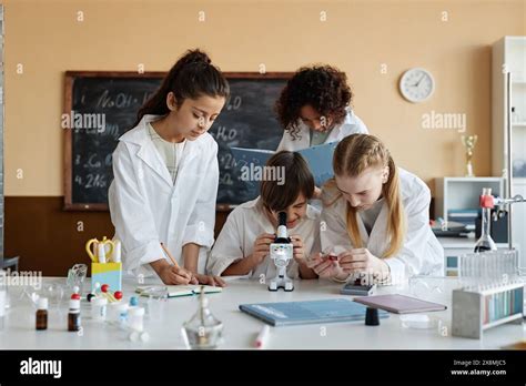Multi Ethnic Group Of Babes And Girls Wearing Lab Coats Using Microscope While Doing Experiment