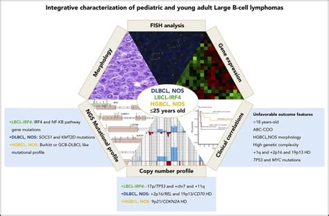 Distinct Molecular Profile Of Irf4 Rearranged Large B Cell Lymphoma