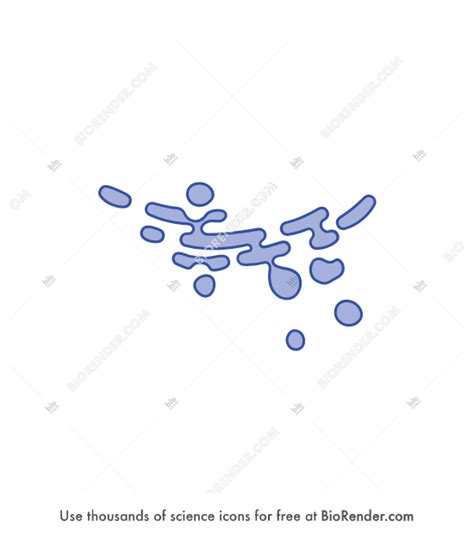 Free Smooth Endoplasmic Reticulum 2d Budding Icons Symbols And Images Biorender