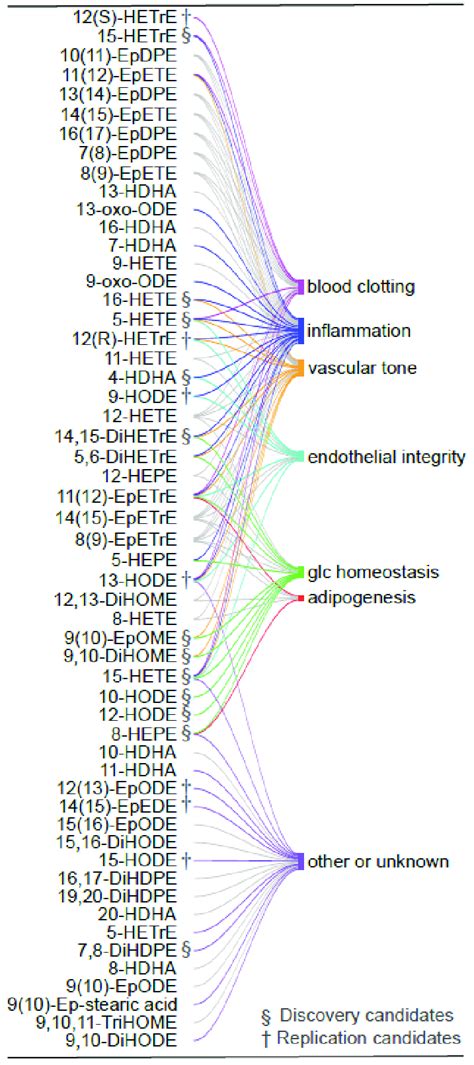 biological functions of the candidate oxylipins discriminating