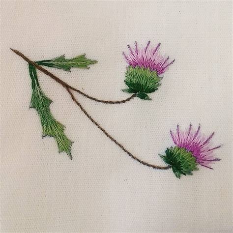 야생화자수 엉겅퀴자수embroidery 자수소품자수diy프랑스자수야생화자수대구프랑스자수대구야생화자수달콤한작업실대구자수독학자수공방성서다사대구