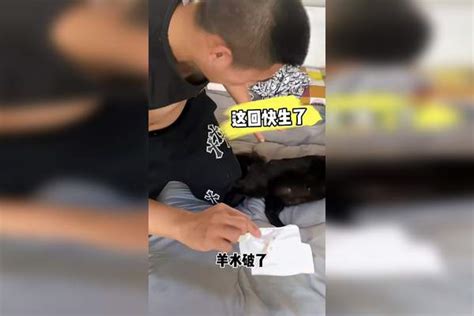 这回猫咪快生了 猫咪