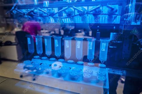 Genetic Analysis Dna Isolation Stock Image C0190266 Science