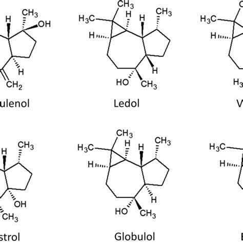 Monoterpenes And Non Oxigenated Sesquiterpenes Commonly Encountered As Download Scientific