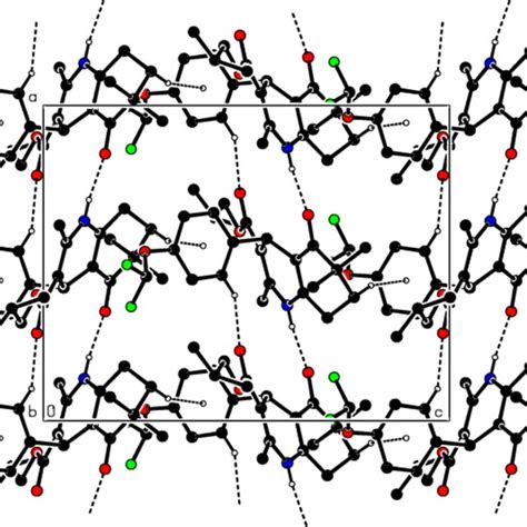 View Of The Mol­ecular Packing Along The B Axis Hydrogen Bonds Are