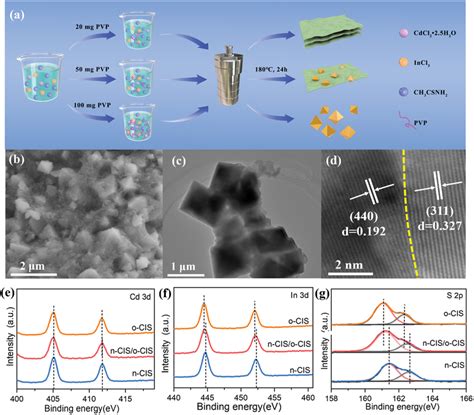 A Flowchart For The Fabrication Of N‐cis N‐ciso‐cis And O‐cis B