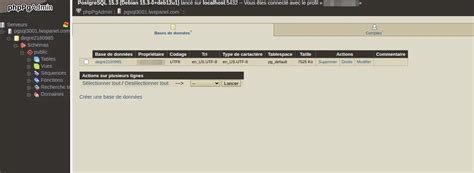 Comment Accéder à Mes Bases De Données Postgresql Phpgadmin Lws