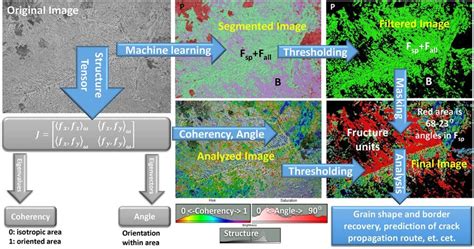 The Image Analysis Protocol With Structure Tensor Estimation For Download Scientific Diagram
